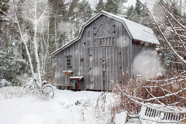 Does the Modern Studio Have a Place in Wet Plate Collodion? – Les ...